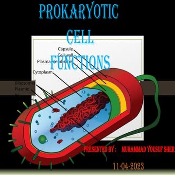 BioSensor ppt Yousuf Sher.pptx jsjwinsskiw sksjs | PPT