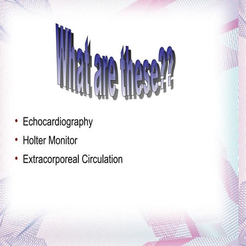 Bio slide presentation 3 | PPT