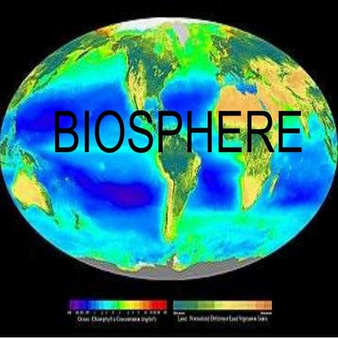 Biosphere | PPT