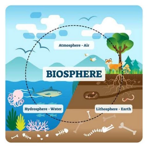 Biosphere | PPT