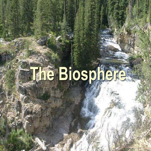 Biosphere | PPTX