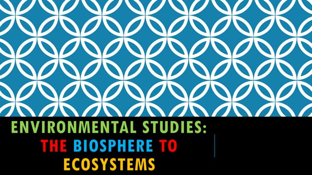 The terrestrial habitat | PPTX