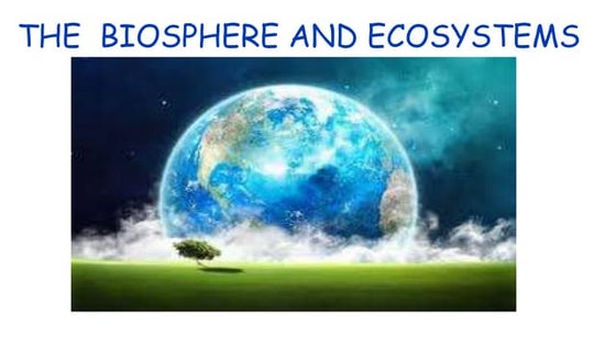 Similarities and Differences between Aquatic and Terrestrial ecosystems ...
