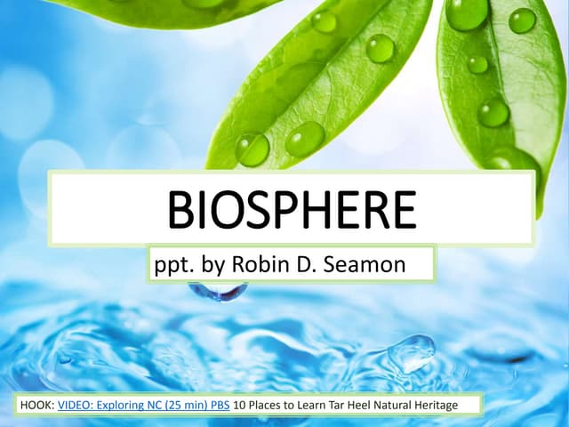 Ecology: Levels of Organization | PPTX
