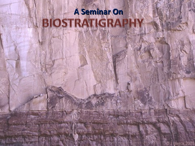 Biostratigraphy