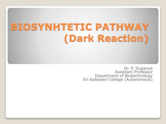 C3,C4 & CAM pathway | PPTX