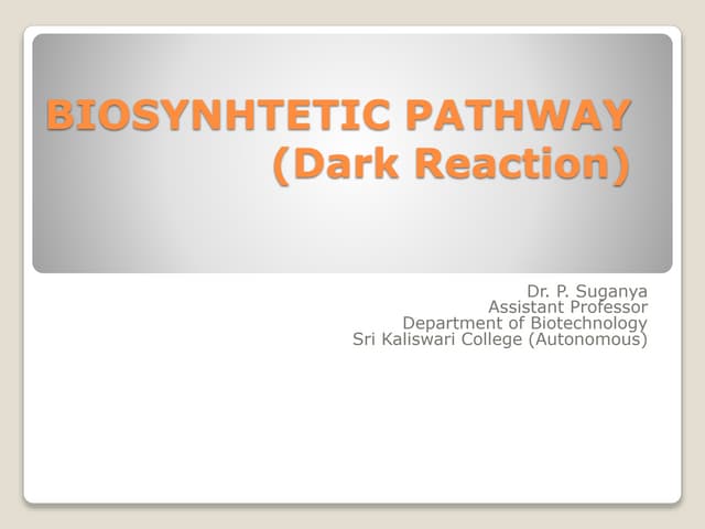 C3,C4 & CAM pathway | PPTX