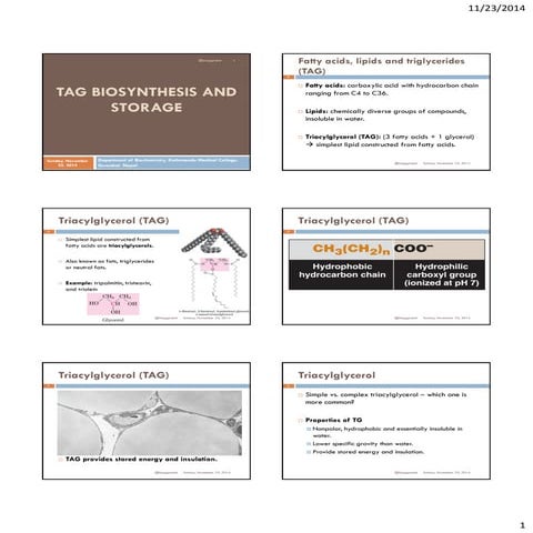Biosynthesis and storage of tag | PDF