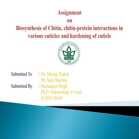 Biosynthesis of Chitin | PPTX