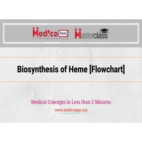 Biosynthesis of heme (flowchart) | PDF