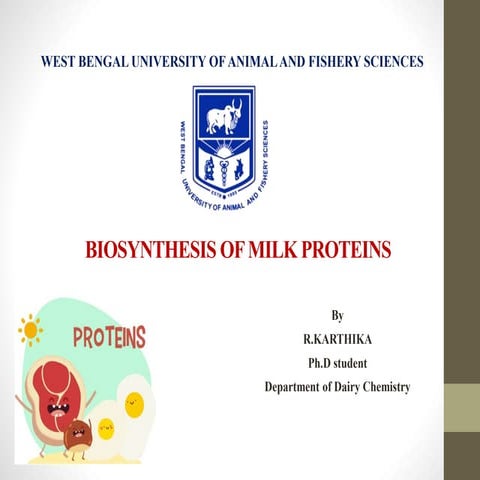 Biosynthesis of milk proteins.pptx