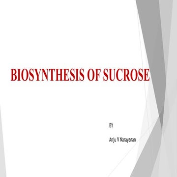 BIOSYNTHESIS OF SUCROSE IN PLANTSN BACTERIA | PDF