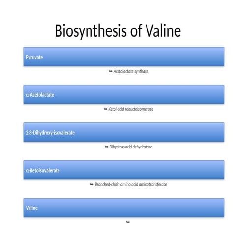 Biosynthesis_Pathways_ Presentation.pptx