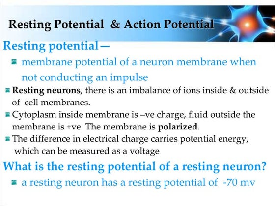 Action potential | PPT