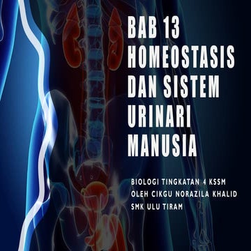 BIO_T4_KSSM_Bab_13_Homeostasis_dan_Sistem_Urinari_Manusia_zila_khalid.pdf