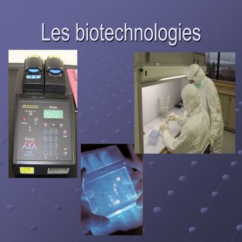Techniques de PCR.pptx