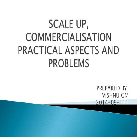 Scale up and Commercialisation | PPTX