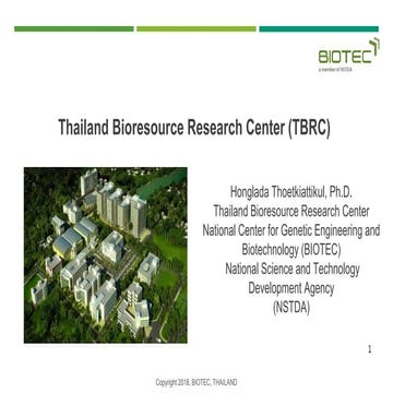 Thailand Bioresource Research Center (TBRC) | PPTX | Biotech and ...