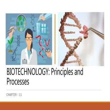 Biotechnology and its application ppt, Grade 12 CBSE | PPSX