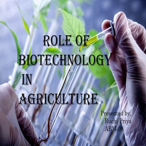 Biotechnology in Agriculture-170320092837.pptx