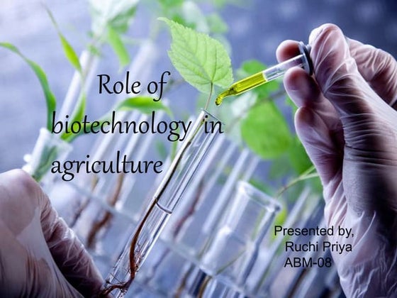 biotechnology in Agriculture | PPT