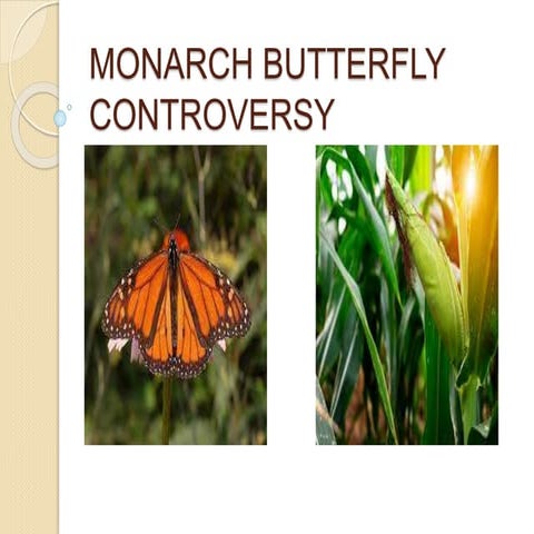 BIOTECH AND BUTTERFLY. reeor of sdnes inpptx | PPTX