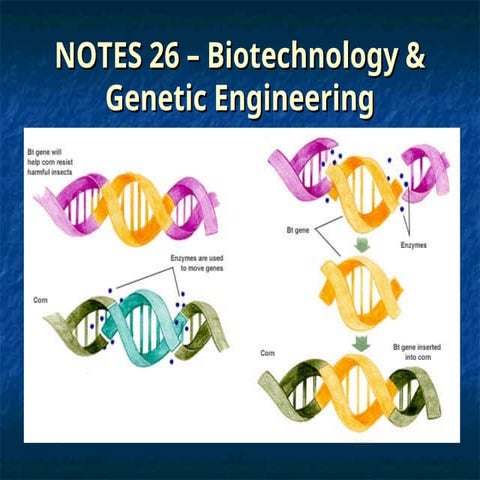 biotechnology-genetic-engineering lesson.ppt