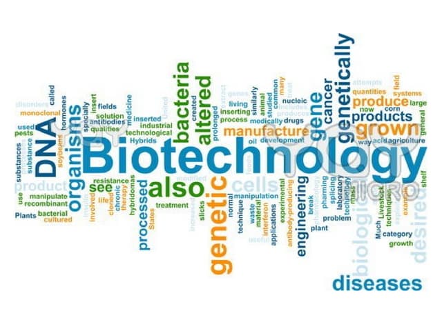 Traditional biotechnology | PPTX