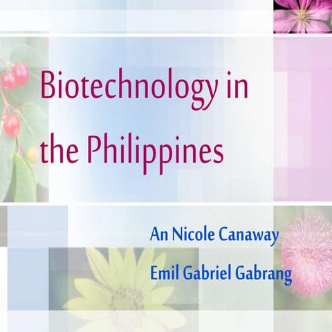 Biotechnology in the Philippines | PPTX