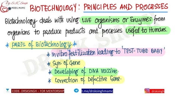 Biotechnoloy principles and processes | PPTX | Biotech and Biomedical Industry | Industries