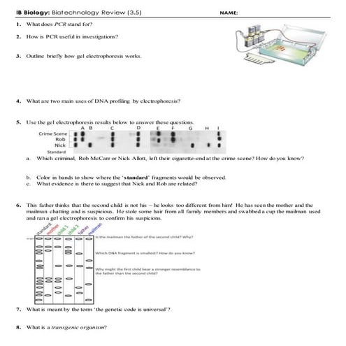 IB Biotechnology Review (3.5) | DOCX