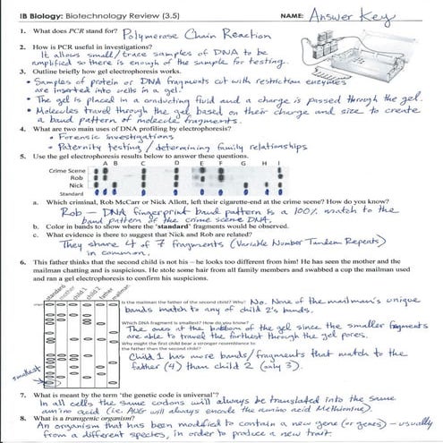 Workbook answer key unit 1