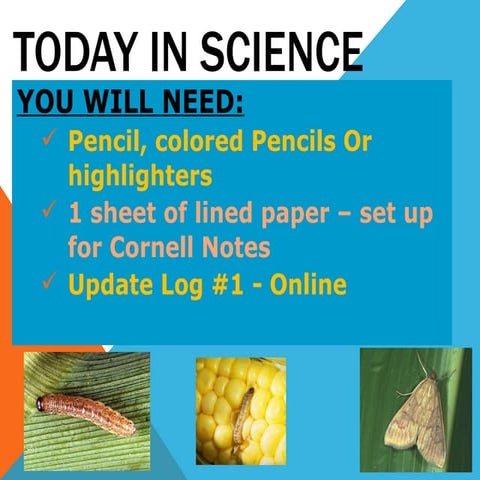 Biotechnology Virtual Lab | PPT