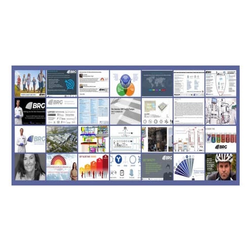 Biotech Resources Group Cgmp Mosaic Consulting 2025 Pdf