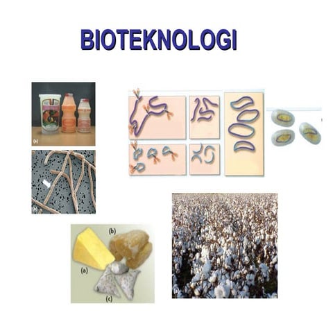 Bioteknologi | PPT