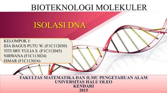 Tahapan Ekstraksi dan Purifikasi DNA, pengukuran kualitas DNA | PPTX