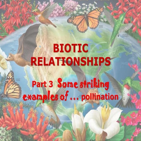 Biotic relationships Part 3 Some striking examples of … pollination | PDF