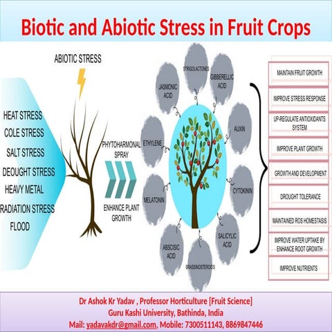 Biotic and Abiotic Stress in Fruit Crops.pptx