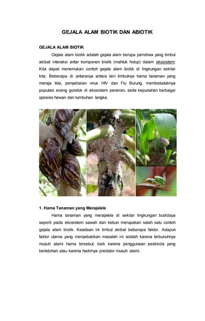 Ppt biotik dan abiotik agung | PPTX