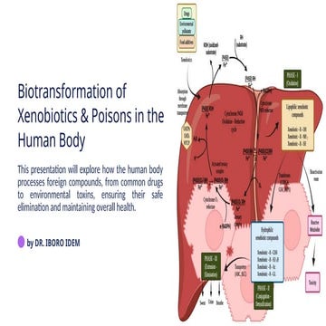 Biotransformation-of-Xenobiotics-and-Poisons-in-the-Human-Body.pptx