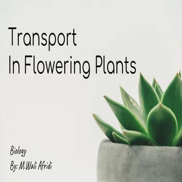 Transport in Plants-Vascular System-Xylem and Phloem | PPT