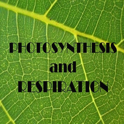 BIO UNIT Photosynthesis-Cellular Respiration shortversion.ppt