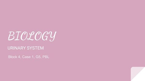 Physiology of Urine Formation | PPTX