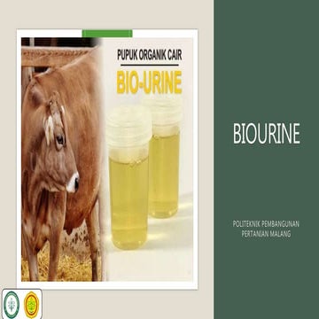 Biourine | PPTX