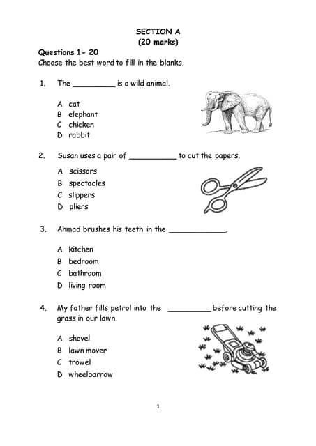 english test-year-3-paper-2 | DOCX | Standardized Testing | Educational ...