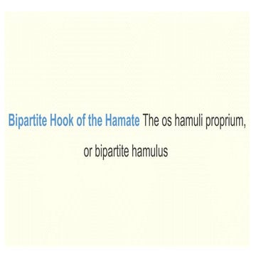 Bipartite Hook of the Hamate The os hamuli proprium, or bipartite ...