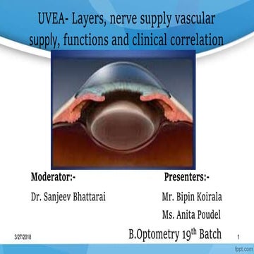 Real Anatomy of UVEA. | PPTX
