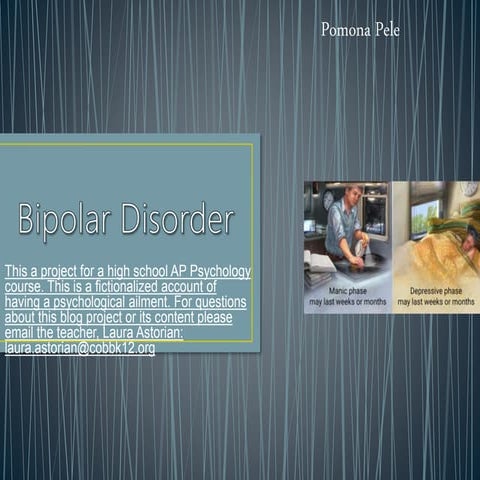 Bipolar Disorder | PPT