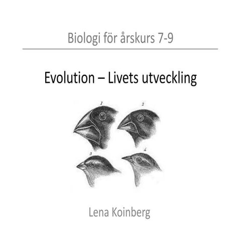 Lena Koinberg | Biologi: Evolution | PPTX