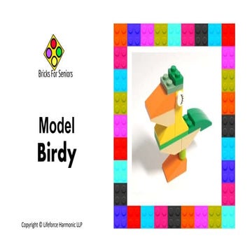 How to Build a Bird.pptx